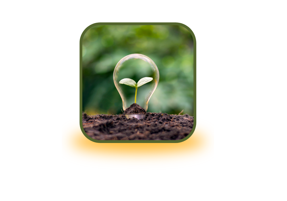 Global LT's Sustainability Mission